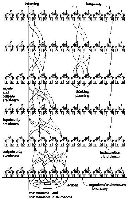 Perceptual Control Theory - iapct.org